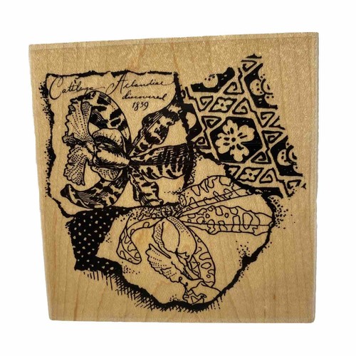 Stampendous Stamp Botanica Collection - Cattleya Aclandiae Leopard ...