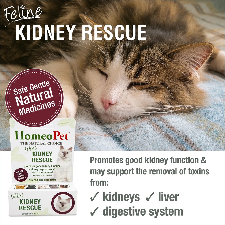 Feline Kidney Rescue, Safe and Natural Renal Supplement for Cats and ...