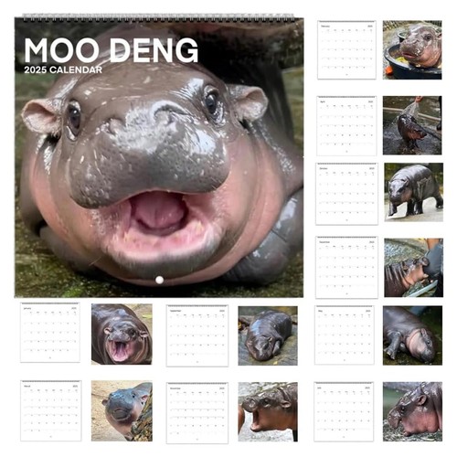 Calendar Mu Deng Fan Merchandise 2025 Hippo Calendar for Lovers Planner ...