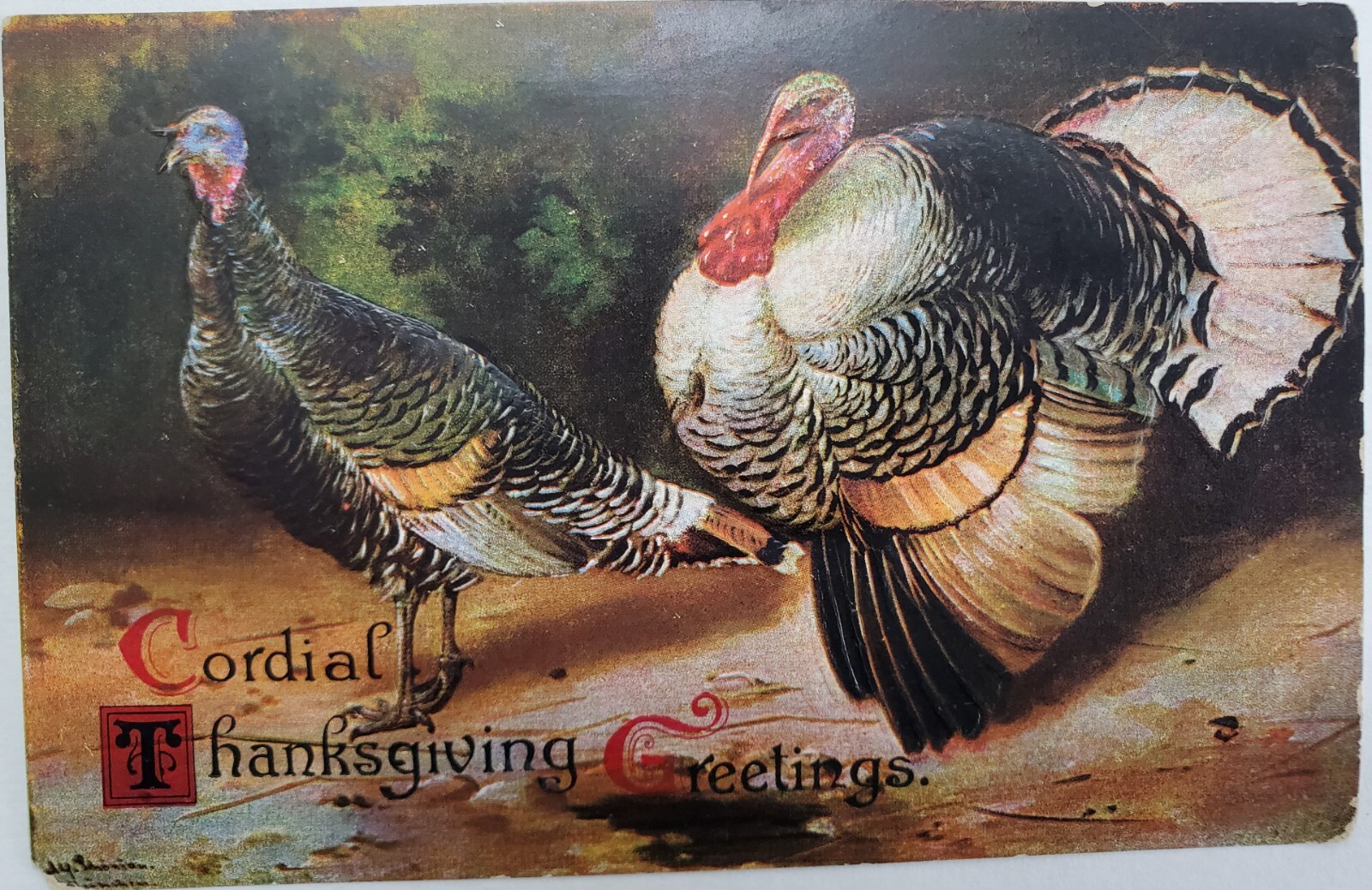 Antique Cordial Thanksgiving Greetings Tom & Hen Turkey Embossed ...