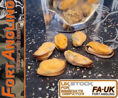 PREMIUM PRO - "SHELF LIFE MUSSEL HOOK BAITS" (65 & 100gr) | eBay UK
