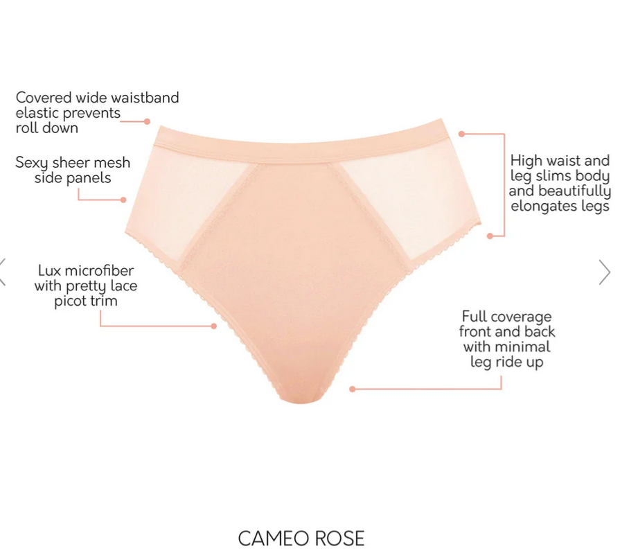 Parfait PP306 Women's Brief Microfiber EU/DE 42 L Cameo Rose Mesh Midi ...