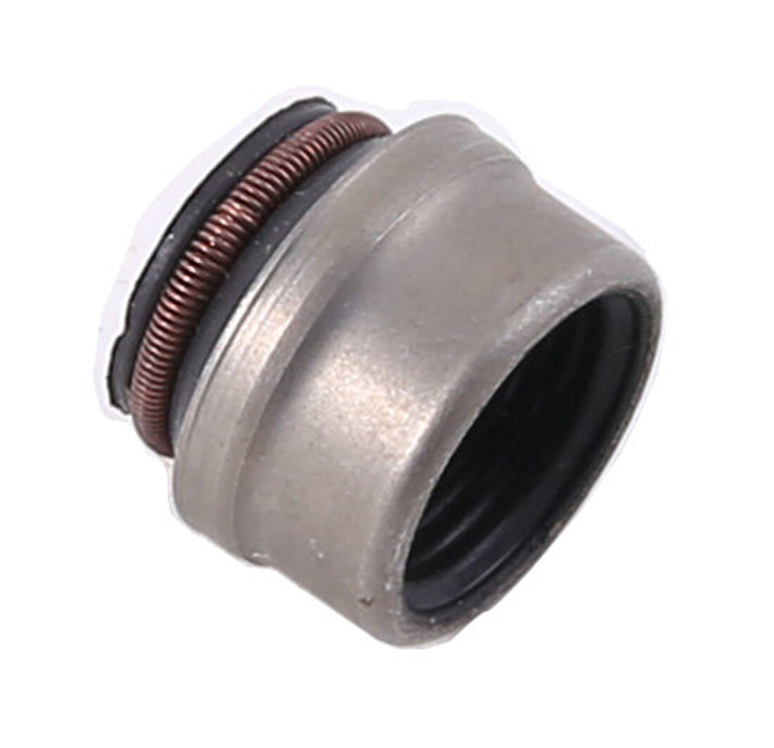 20PCS 6MM Valve Stem Oil Seals Set For VW Golf AUDI TT 036109675A | eBay