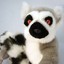 Ringo the Ring-tailed Lemur | 21 Inch (Including Tail!) Plush | Tiger ...