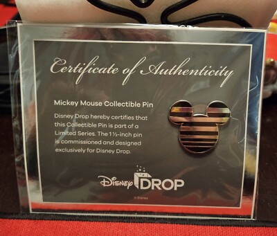 Disney + Drop Box Exclusive Pin | eBay