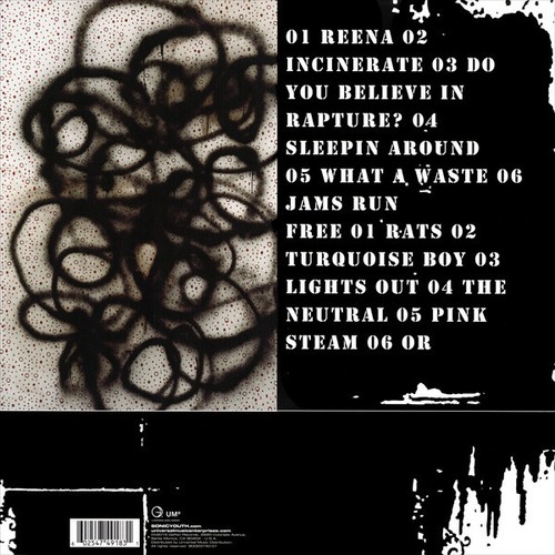 Sonic Youth - Rather Ripped READ DESCRIPTION (LP, Album, RE, RM) (Mint ...