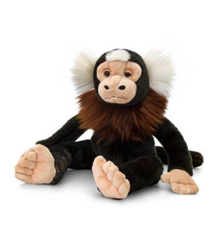 20cm Marmoset Monkey - Keel Toys Soft Plush Wild Cuddly Teddy SW0984 ...
