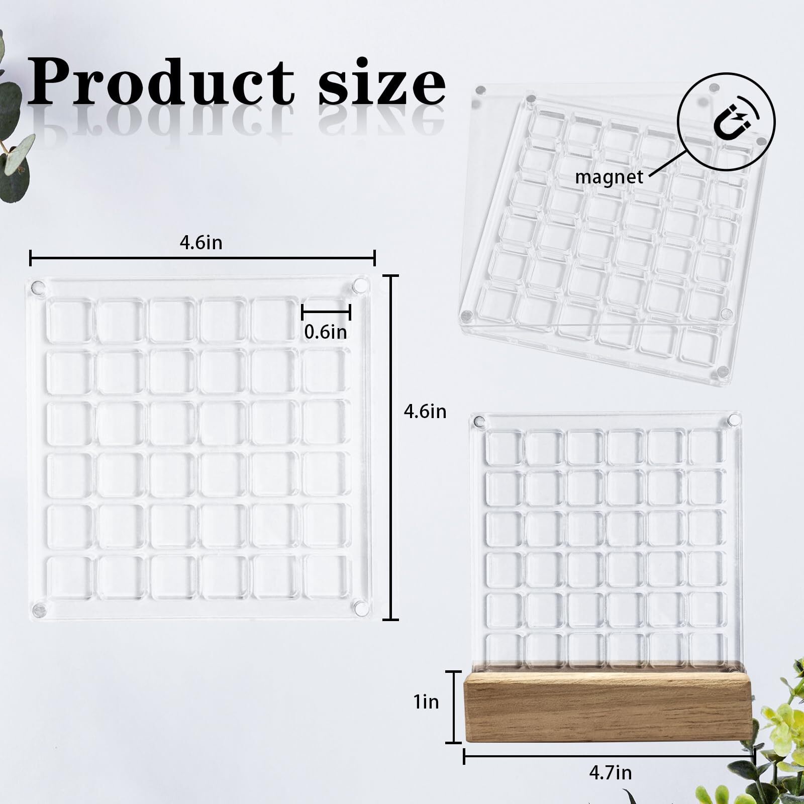 Seashell Display Case with Solid Wood Base 36 Grids Acrylic Display Box ...