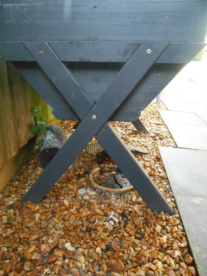 raised bed garden vegetable trug planter length 946mm with liner | eBay UK