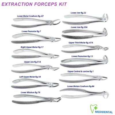 Dental Surgical Tooth Extracting Forceps Oral Extraction Plier forceps ...