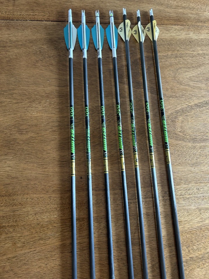 6 Gold Tip Hunter XT 300 Spine Arrows | eBay