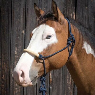Lami Cell Western Horse Rope Halter with Rawhide Nose w/ Lead Rope ...