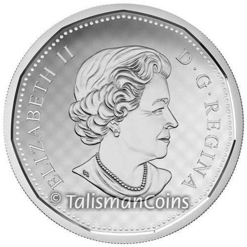 Canada 2016 LOONIE Big Coins Series Color Loon $1 5 Oz Pure Silver Prf ...