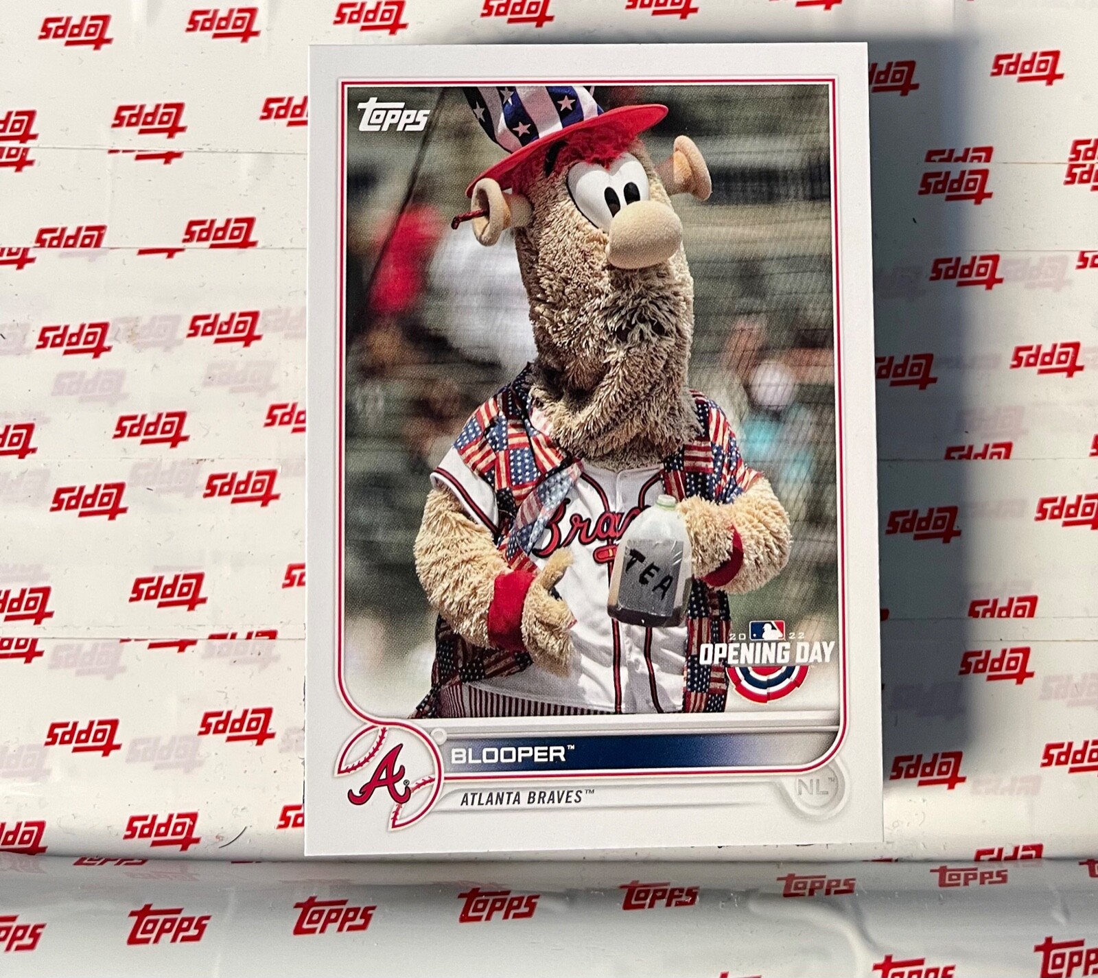 Atlanta Braves Mascot 2022