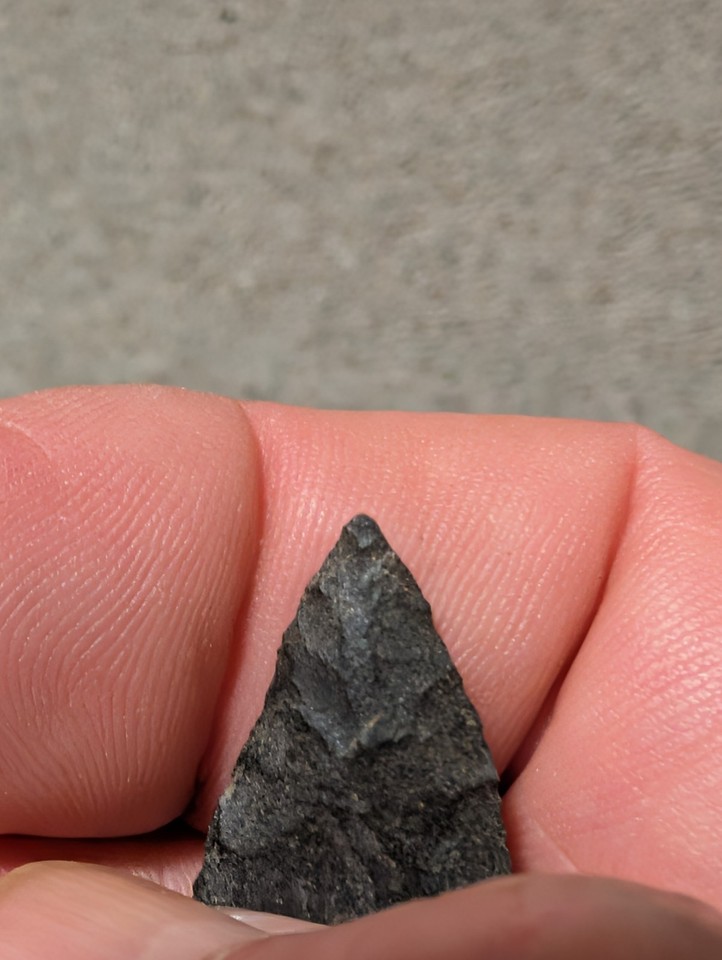 Superb Normanskill, 1 7/8", Schuylkill Co, Pa, Black Chert, Authentic ...