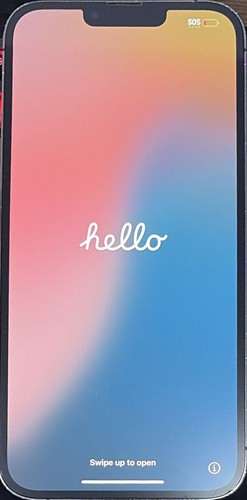 Apple iPhone 13 Pro Max A2484 256GB Black Fully Unlocked READ | eBay