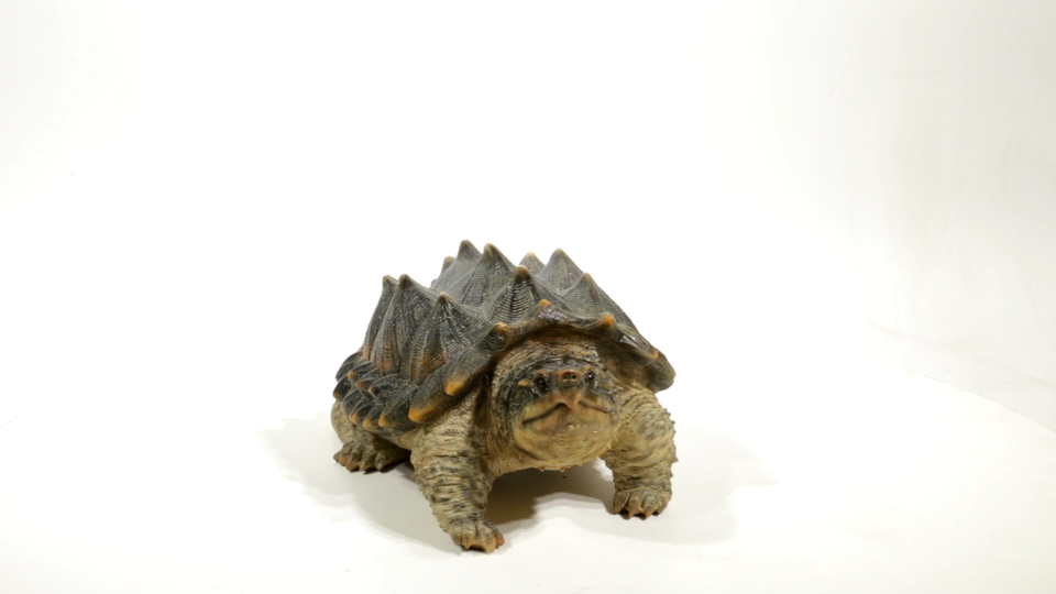 Snapping Turtle Garden Statue Lifelike Yard Decor Wildlife Reptile ...