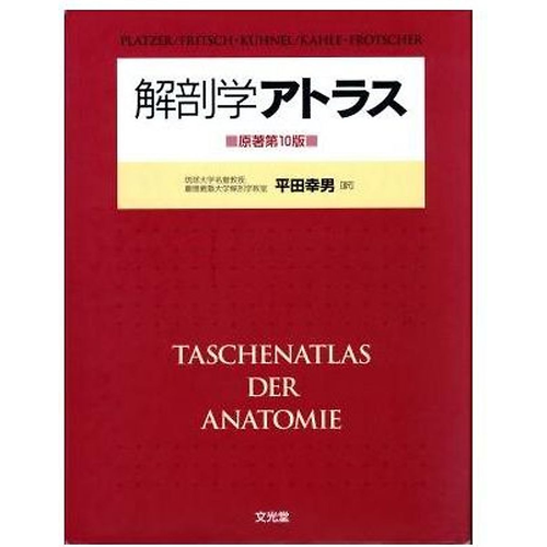 Anatomy Atlas Original 10th Edition Hirata Yukio (Author) Used 1 | eBay