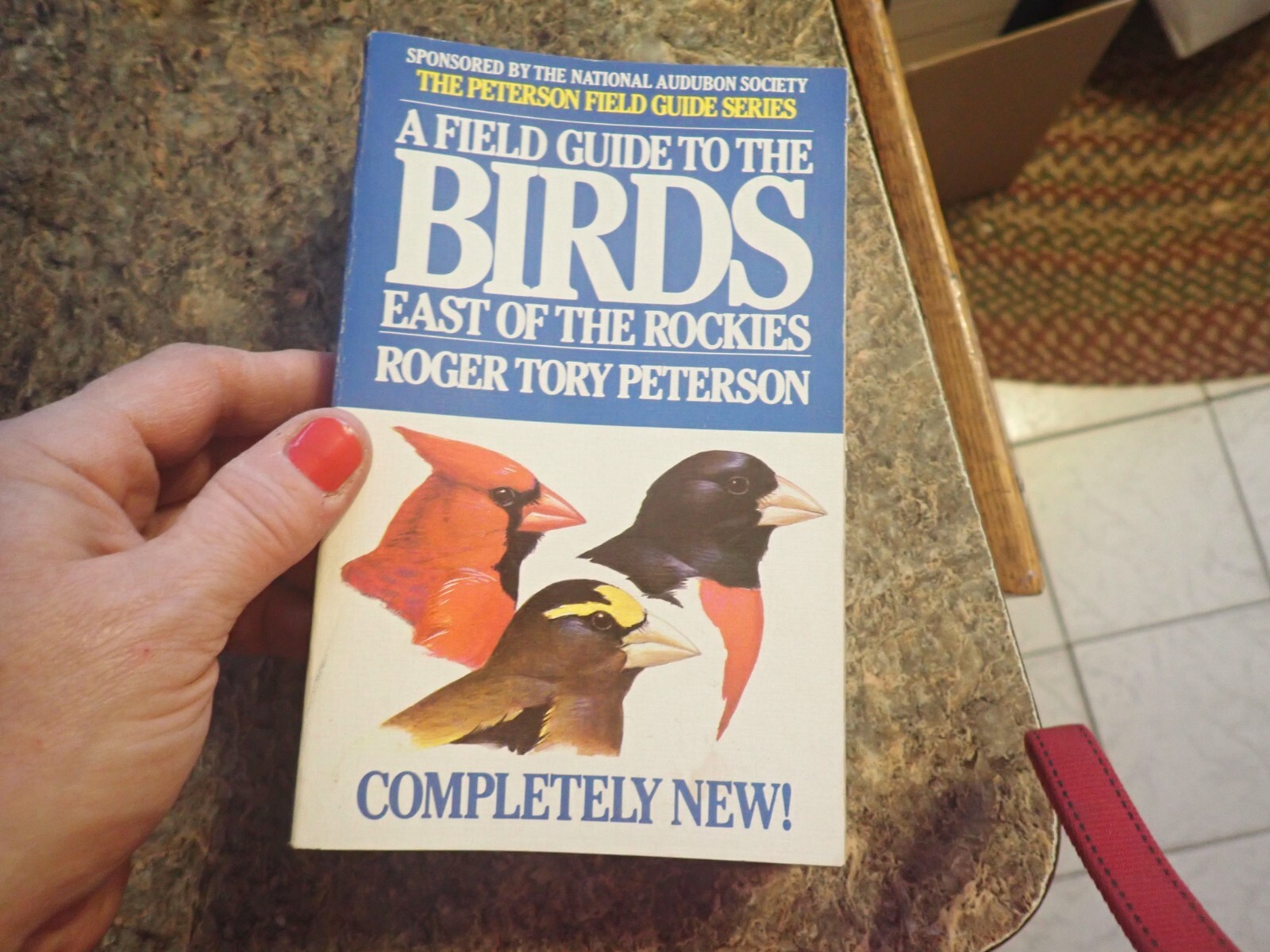 1966 Golden Field Guide - Birds of North America | eBay
