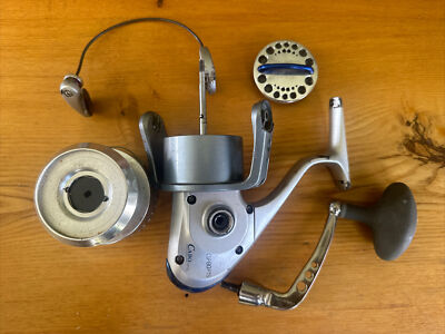 Saltwater Fishing - Quantum Cabo