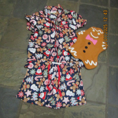 Peter Alexander Gingerbread Christmas Shortie Pyjamas with Bag NWOT RRP ...