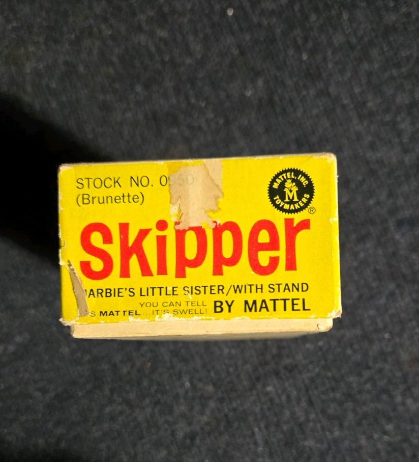 Mattel Barbie Skipper Box Only (No Doll Or Clothes) | eBay