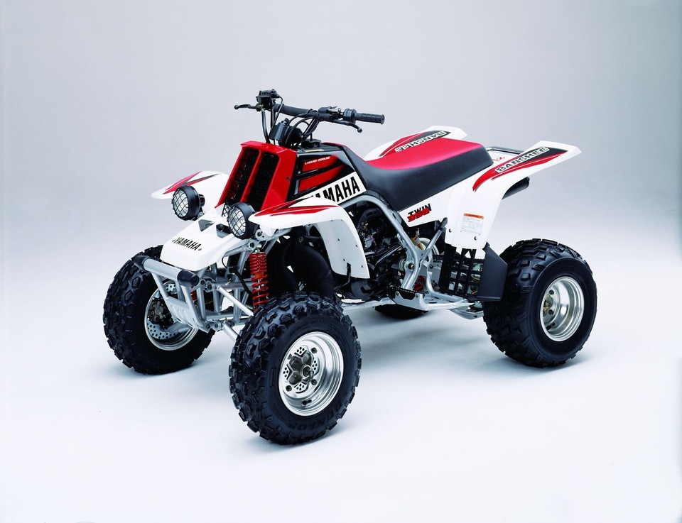 YAMAHA 350 BANSHEE TM DESIGN ENGINE CASE SAVER, RED CHAIN GUIDE, GUARD ...