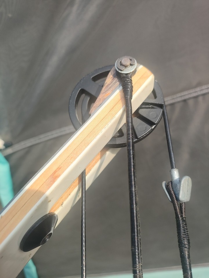 Vintage Tamerlane Bear Compound Target Bow, Biotech, Olympic Blue TL ...