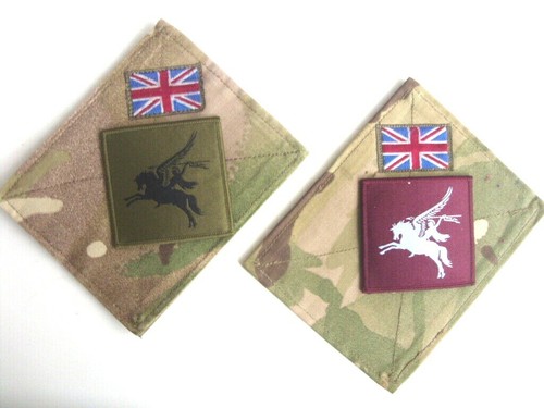 16 AIR ASSAULT BRIGADE PEGASUS MTP PANEL - AIRBORNE FORCES - PARAS ...