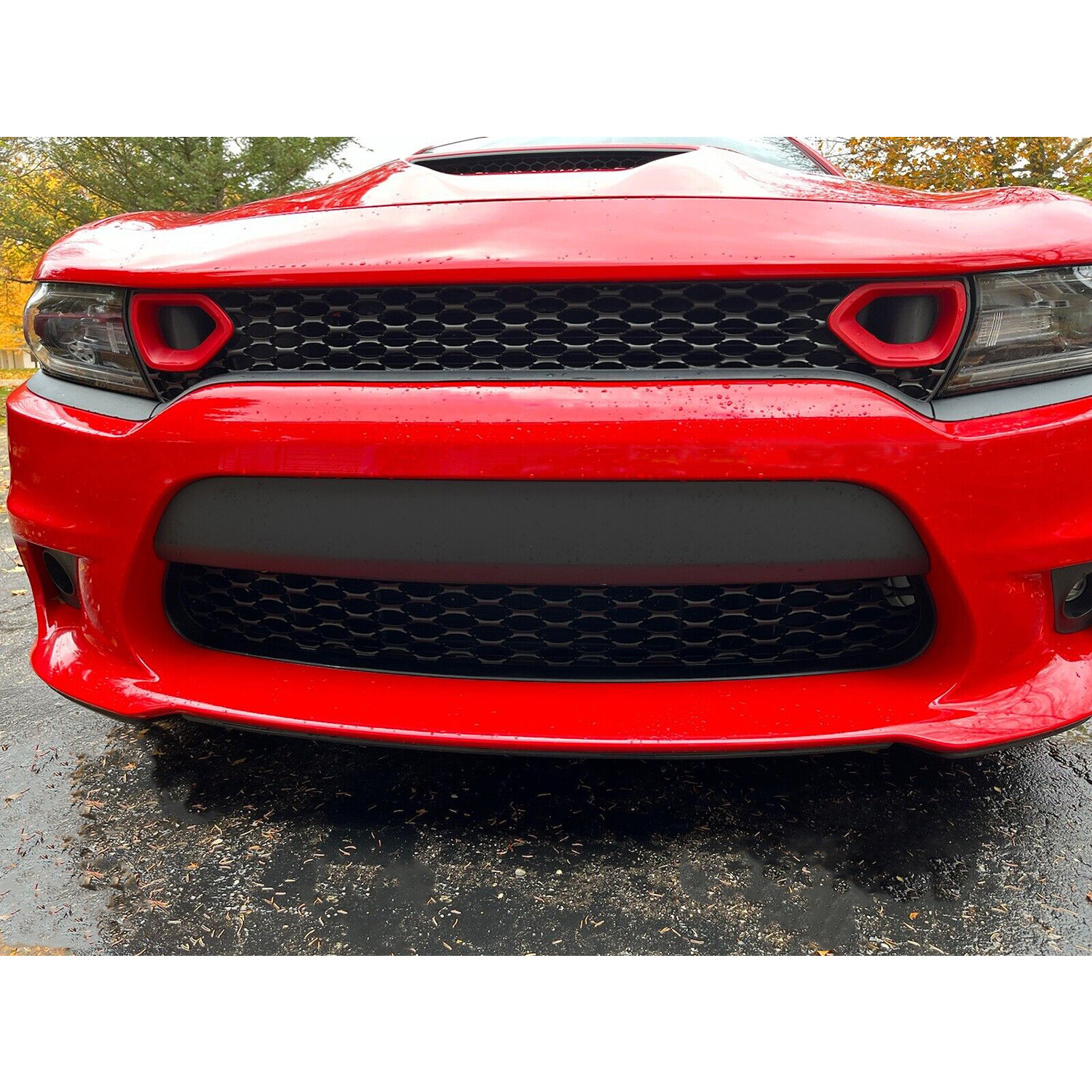 Front Lower Mesh Bumper Grille For 2015-2023 Dodge Charger SRT Scat ...