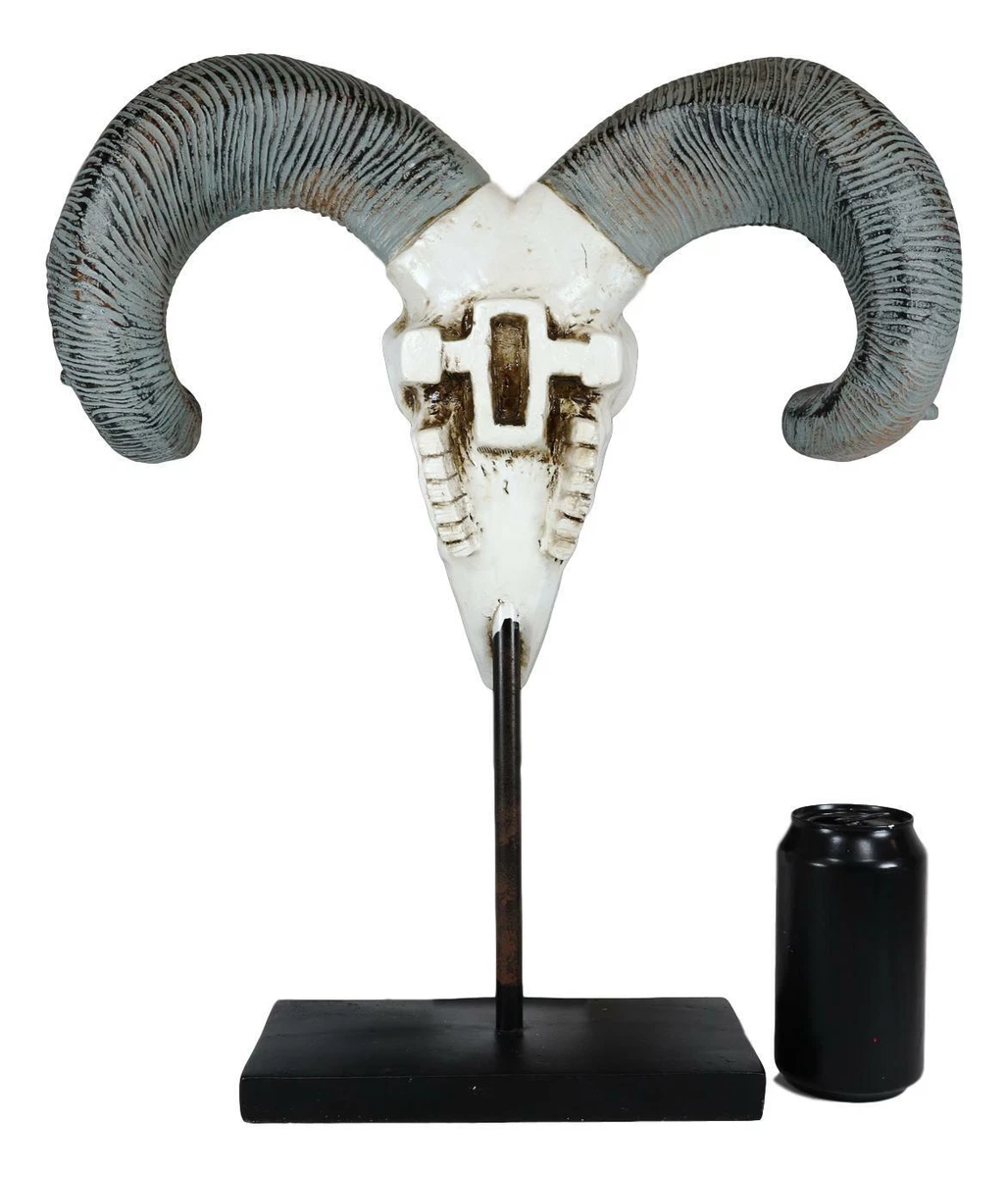 Ram Head Skull