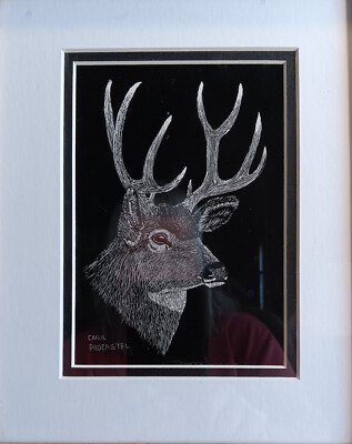 original scratchboard drawing etching deer elk wapiti moose Carol ...