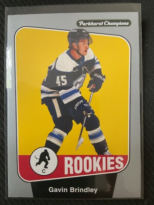 Gavin Brindley 2024-25 UD Parkhurst Champions Silver SP RC Card #278 | eBay