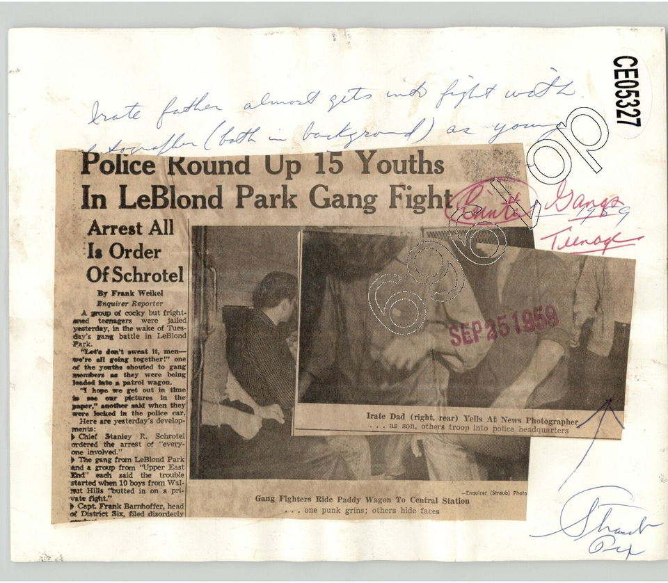 URBAN Scene Gang Members Arrested POLICE STATION CINCINNATI 1959 Press ...