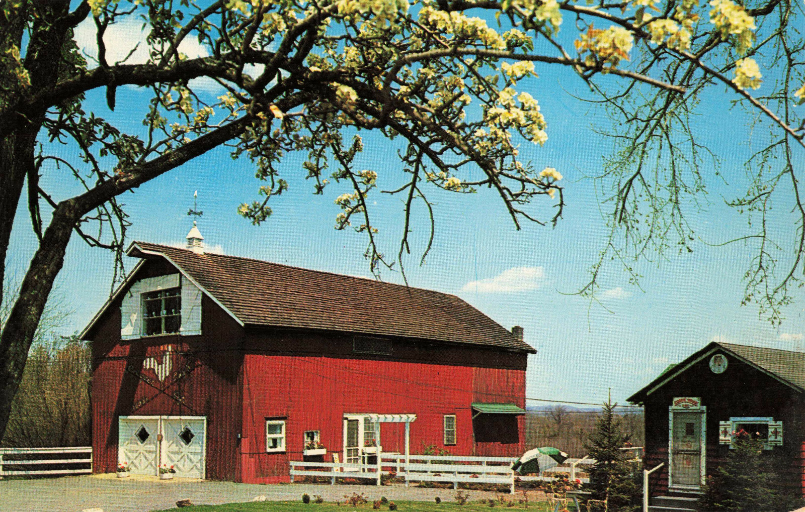 Postcard Weathercock Farm Oldwick New Jersey Barn | eBay