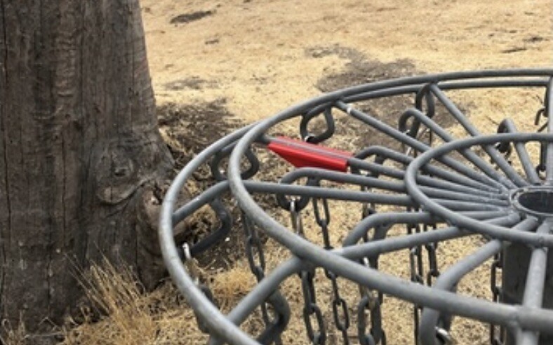 Disc Golf Next Tee Pad Direction Arrows “Orange” Disc Golf (Set of 10 ...