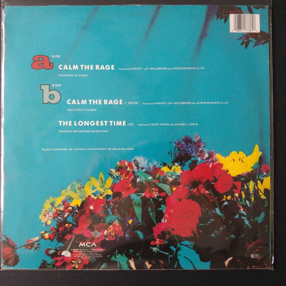 Terry Ronald – Calm The Rage (Vinyl 12", Maxi 45 RPM) | eBay