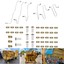 3406 B C Fuel Injection Line Kit 6PC 1917941 1917942 1917943 for CAT ...