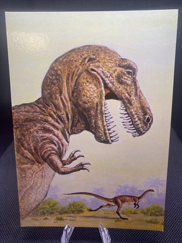 POSTCARD: T-Rex Dinosaur Illustration K11 | eBay
