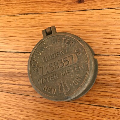 Gas & Water Meters - Neptune Trident Water Meter