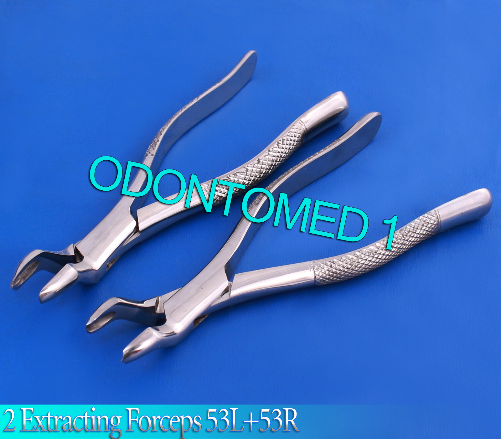 2 EXTRACTING FORCEPS 53L+53R DENTAL SURGICAL INSTRUMENTS | eBay