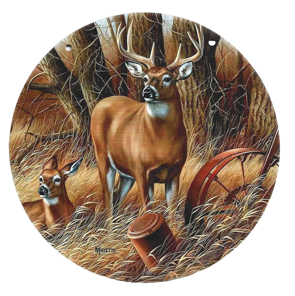 Deer Window -Wall Decoration Hanging for Office Kitchen Sunroom...8x8 ...