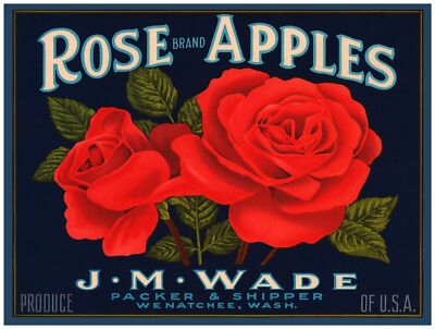 8847.Rose Apples brand.pink roses.J M Wade.POSTER.art wall decor ...