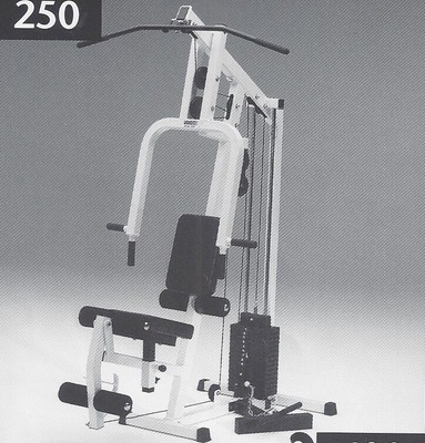 Parabody Home Gym 250 Weight Rack - Legs, Arms, Back, & Check easily ...