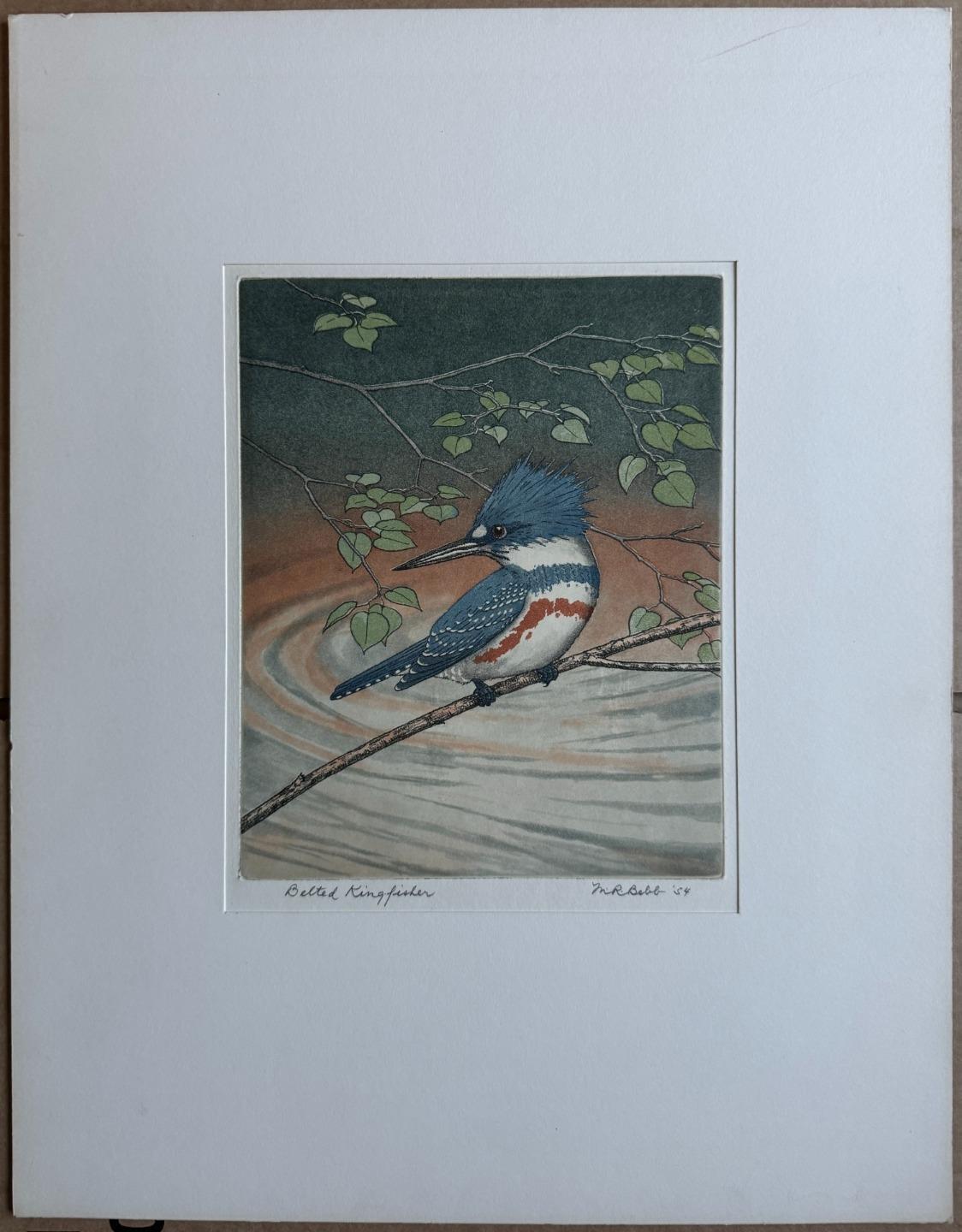 Maurice Bebb Colour Etching Belted Kingfisher '54 Printmakers Society ...
