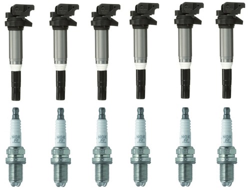 Delphi OEM 6x Ignition Coils + NGK 6x Spark Plugs For BMW E39 E46 E53 ...