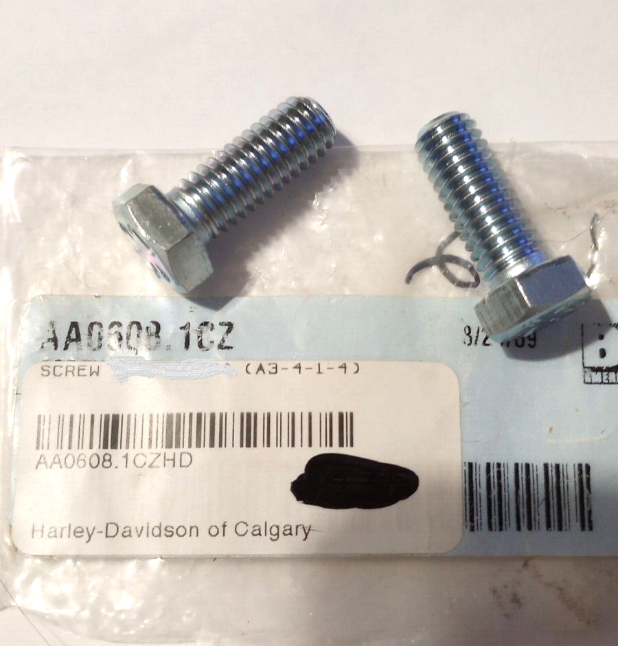 Buell Hex Head Bolt NOS AA0608.1CZ Qty. 2 (L-7079) | eBay