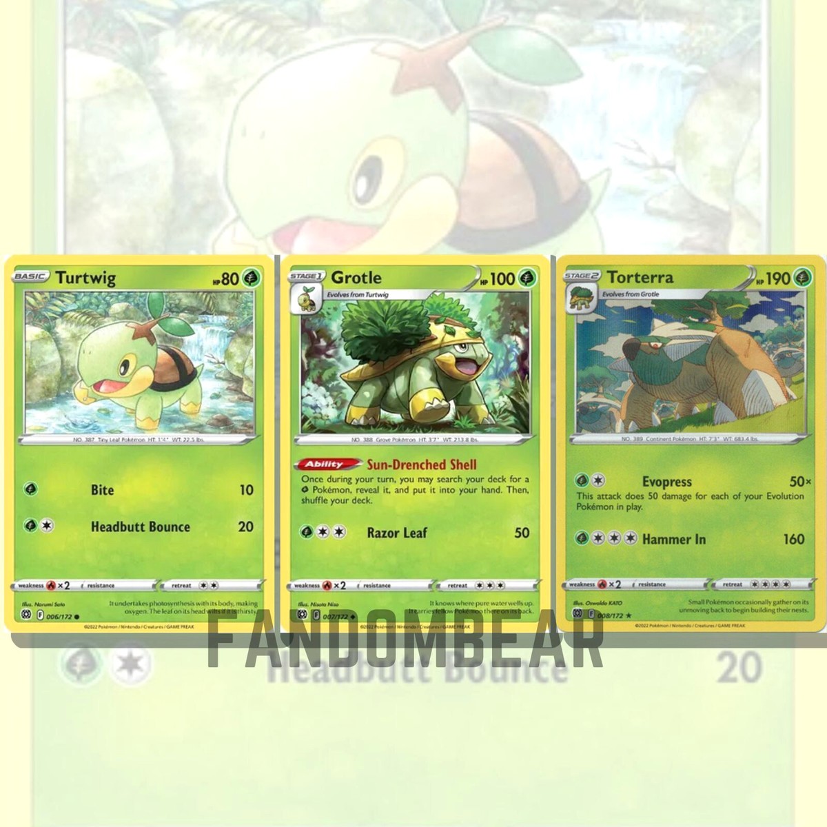 Turtwig Grotle And Torterra