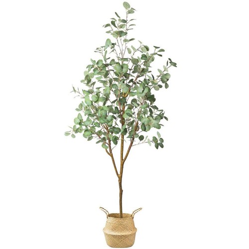 71 in. Eucalyptus Artificial Tree with Vivid Trunks in Woven Seagrass ...