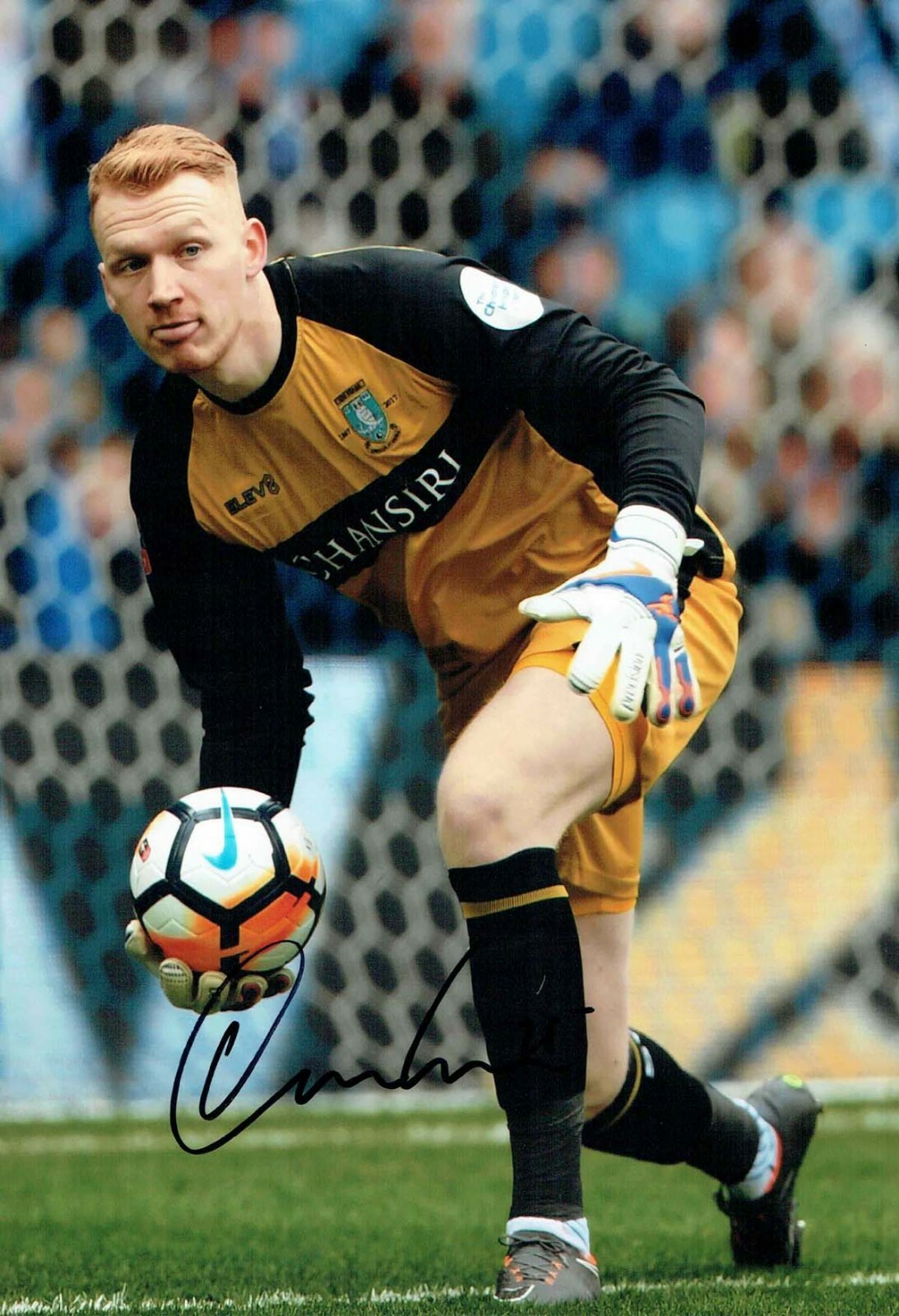 Cameron DAWSON Sheffield Wednesday SWFC SIGNED 12x8 2018/19 Photo 2 ...